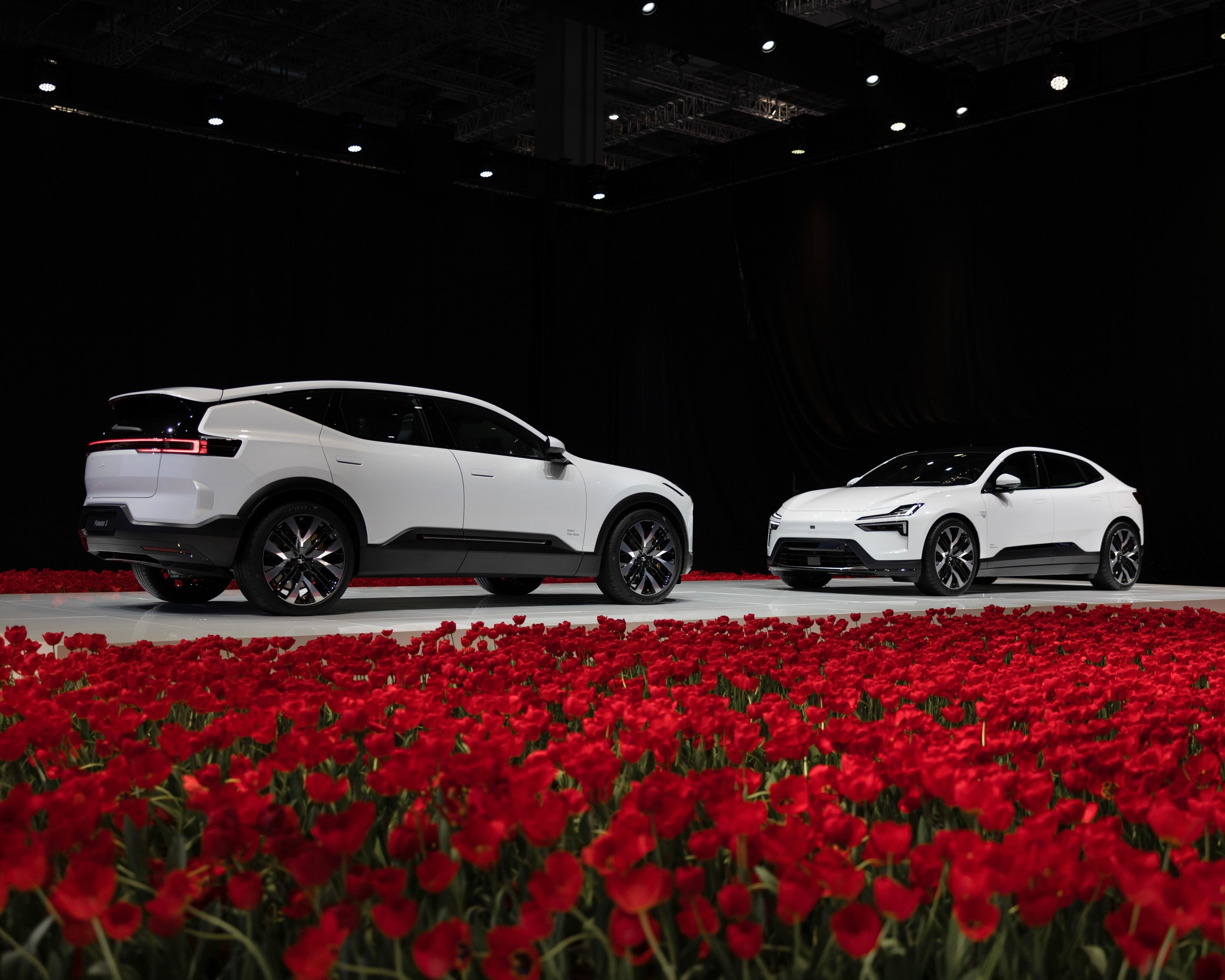 Polestar Vs Serie 5 Coupe